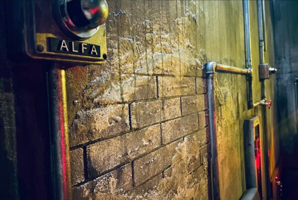 Thriller Escape Room Milano "Purge" » Evasion Milano